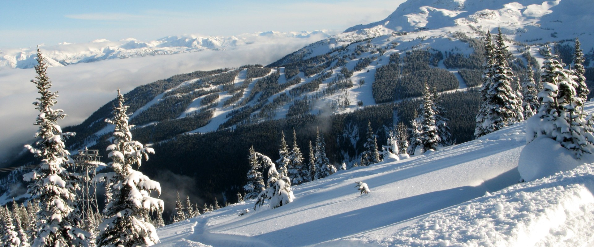 The Best Ski Resorts Near Victoria BC: An Expert's Guide
