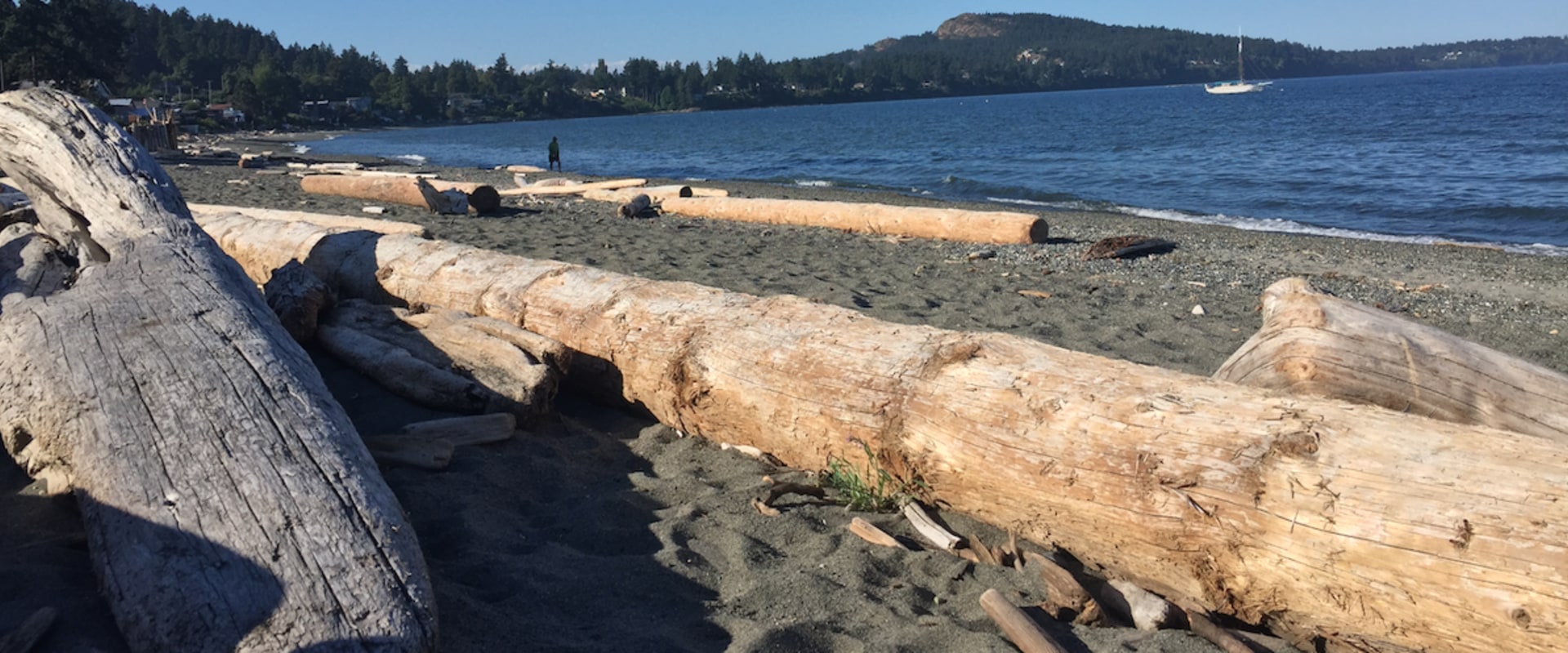 Discover the Best Beaches in Victoria BC